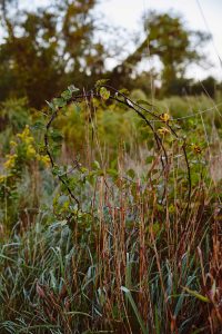 Timothy Bryant Architect